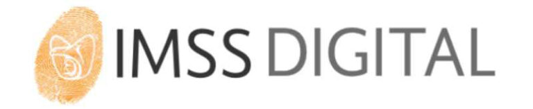 ¿Qué es el IMSS 2025?